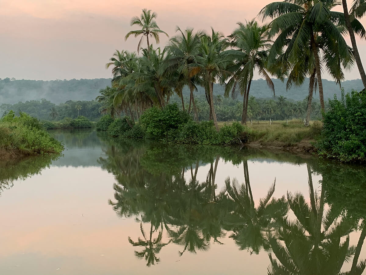 My Pandemic Life in India: Part 3 - Camurlim, Goa | Heather Elton's Blog