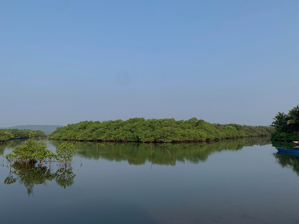 My Pandemic Life in India: Part 3 - Camurlim, Goa | Heather Elton's Blog