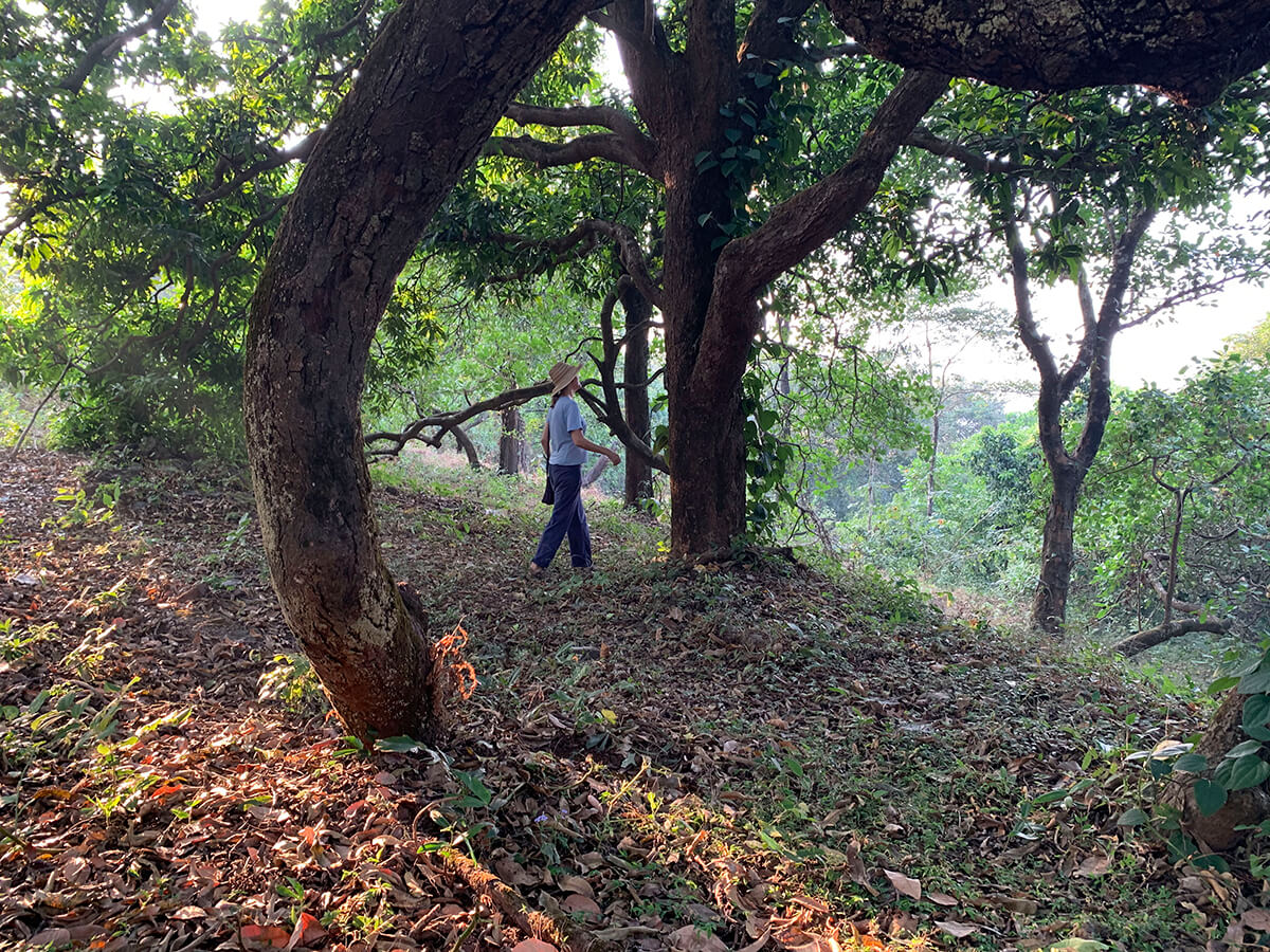 My Pandemic Life in India: Part 3 - Camurlim, Goa | Heather Elton's Blog